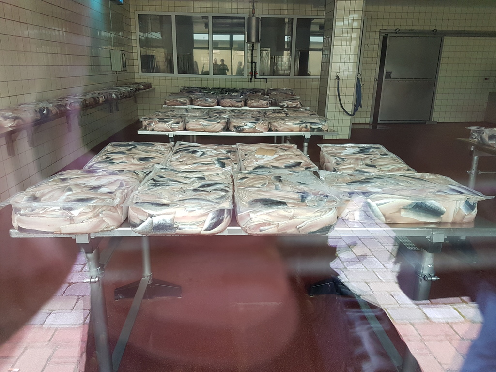Fischstadt Bremerhaven: mehr als ein kulinarisches Erlebnis [Anzeige]