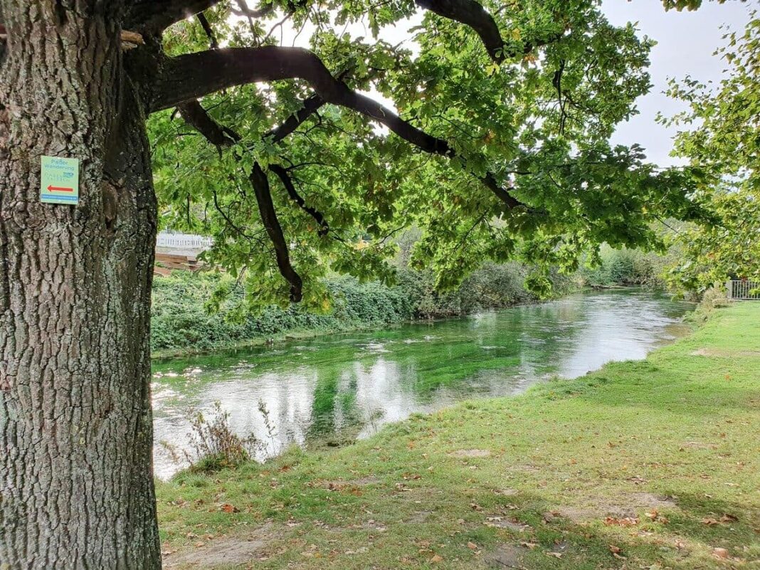 Paderborn: Entspannter Spaziergang im Paderquellgebiet