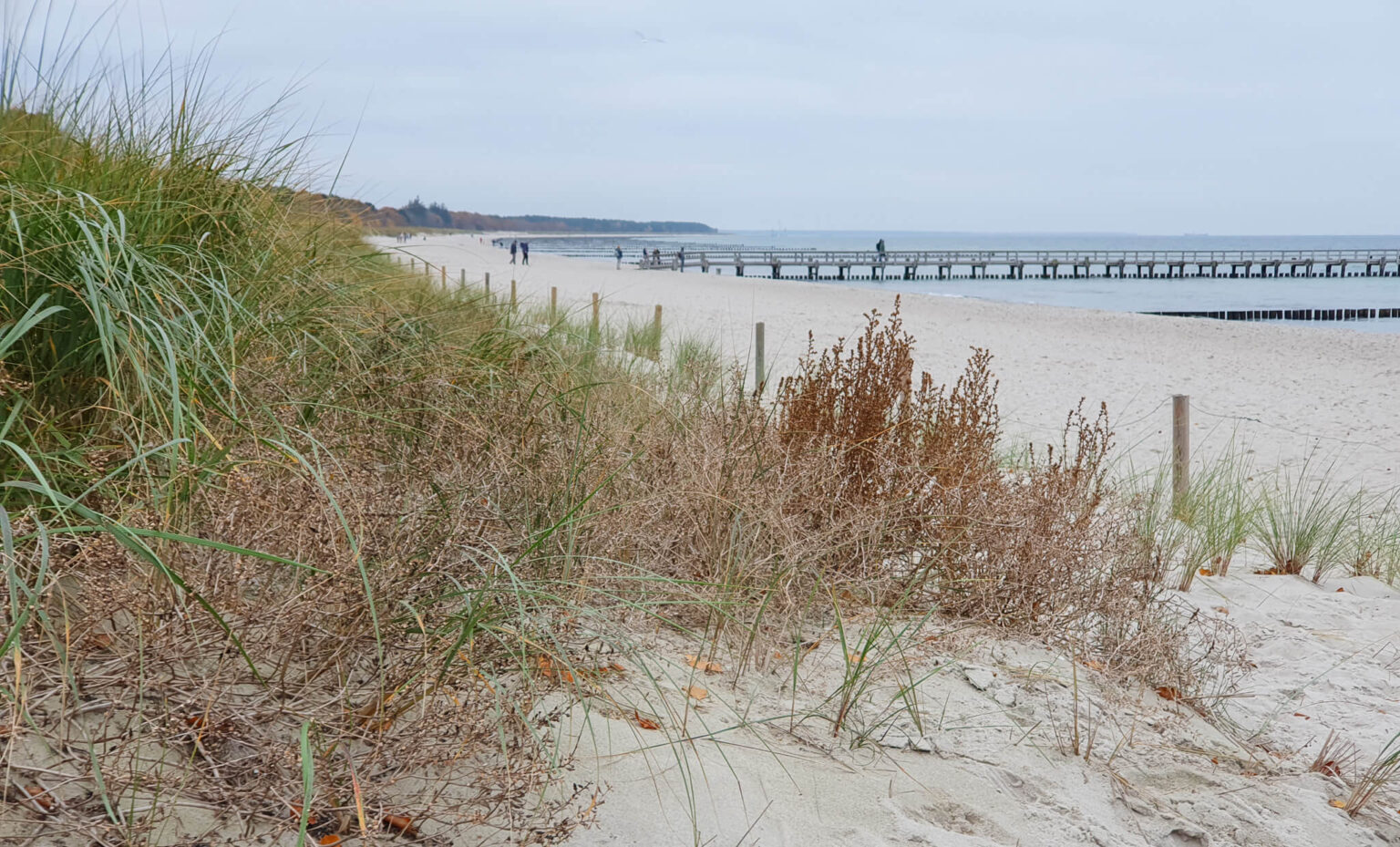 Wunderschne Zingst Strand Gesperrt Fotos